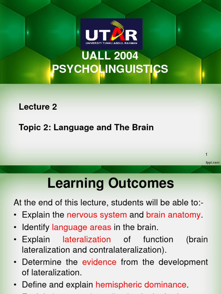 Lecture 2 | PDF | Lateralization Of Brain Function | Thalamus