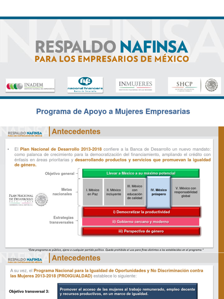 Nafinsa Programa Mujeres Empresarias | PDF | Pequeñas y medianas ...