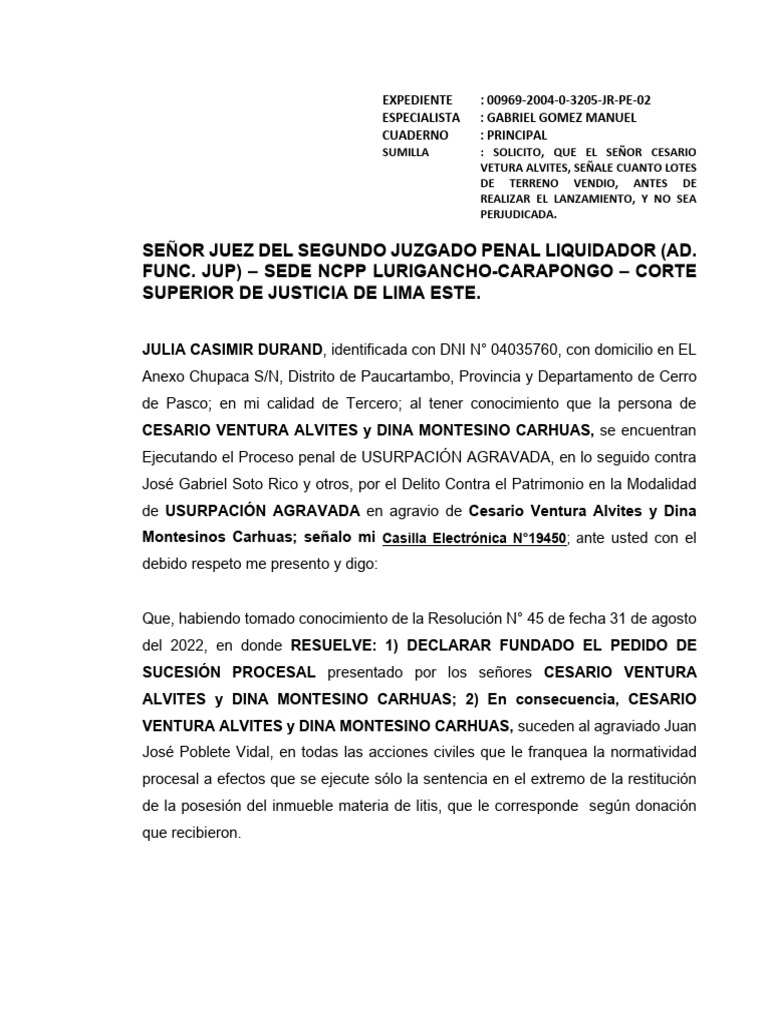 Escrito de Tercero Julia Casimir Durand-Basilio Auqui | PDF | Derecho