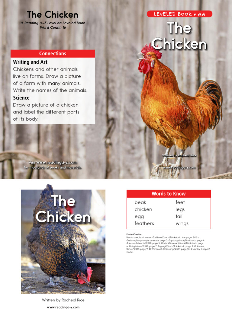 RAZ-AA 015-The Chicken | PDF | Poultry | Ornithology