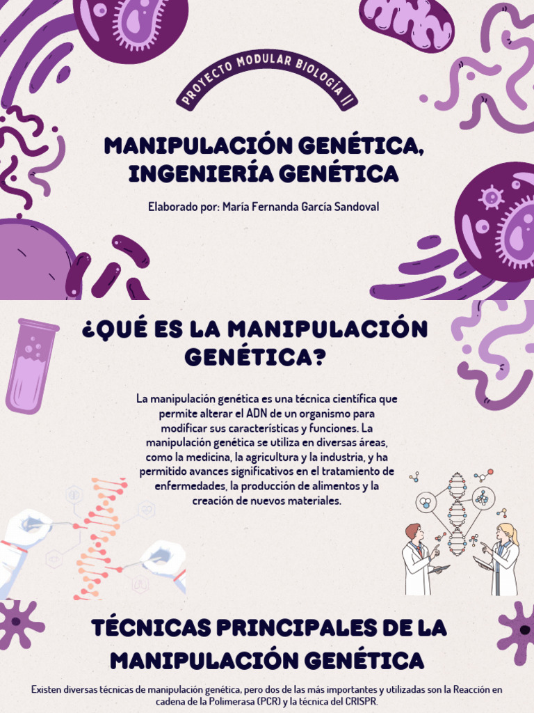 Manipulación Genética, Ingeniería Genética | PDF | Ingeniería genética | Genética