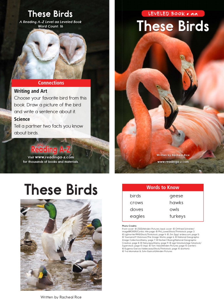 RAZ-AA 016-These Birds | PDF | Linguistics