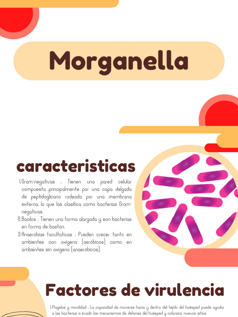Bacteria Morganella | PDF | Las bacterias | Septicemia