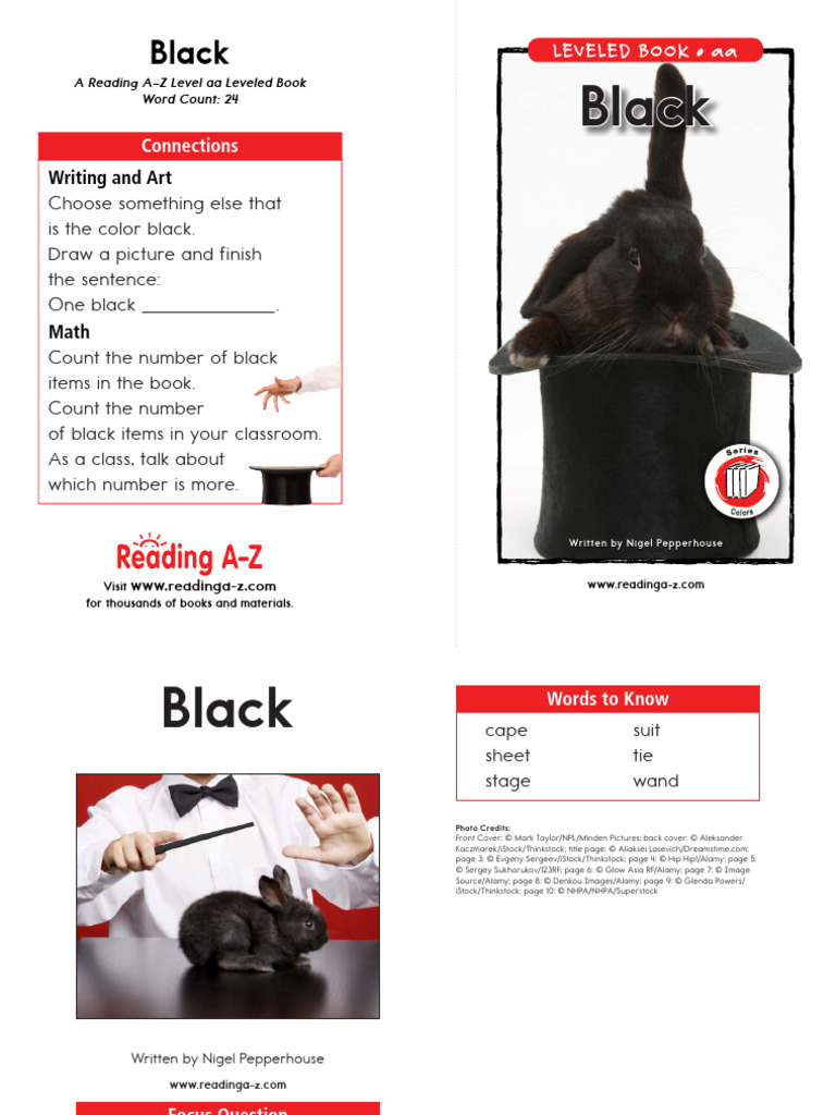 RAZ-AA 028-Black | PDF | Learning | Writing