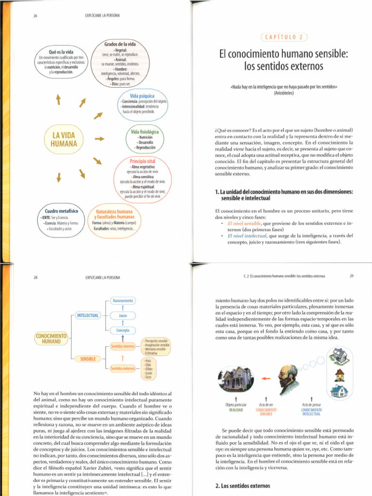 Lectura Conocimiento Humano Lucas - Explicame La Persona | PDF