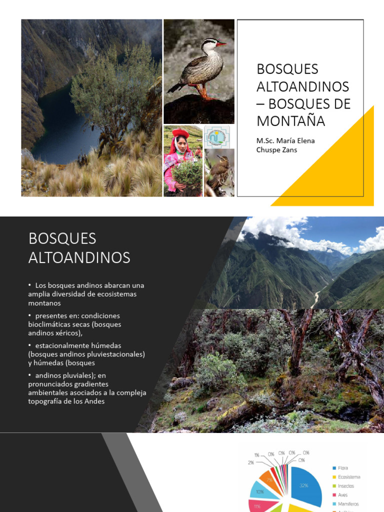 Bosques Altoandinos | PDF | Andes | Ecología