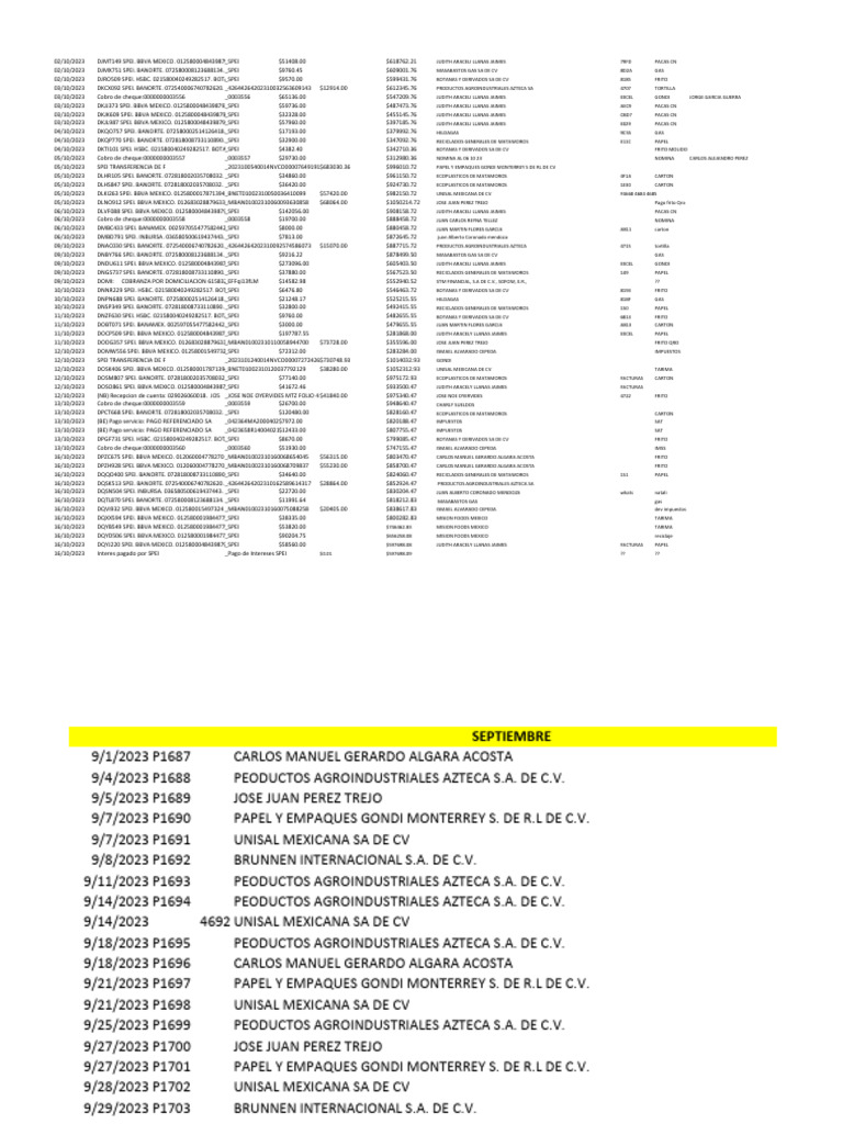 FACTURAS Formato | PDF