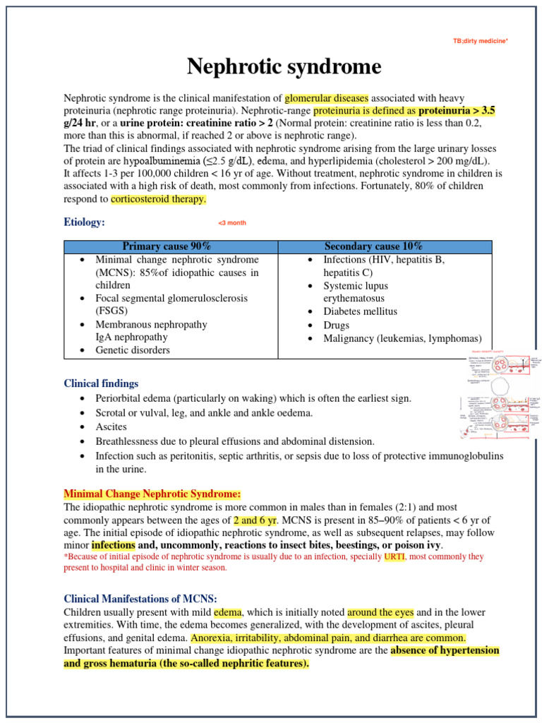 Nephrotic Syndrome | Download Free PDF | Creatinine | Diseases And ...