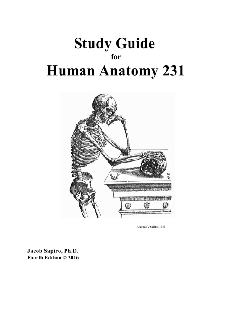 Anatomy & Physiology Study Guide | PDF | Bone | Spinal Cord