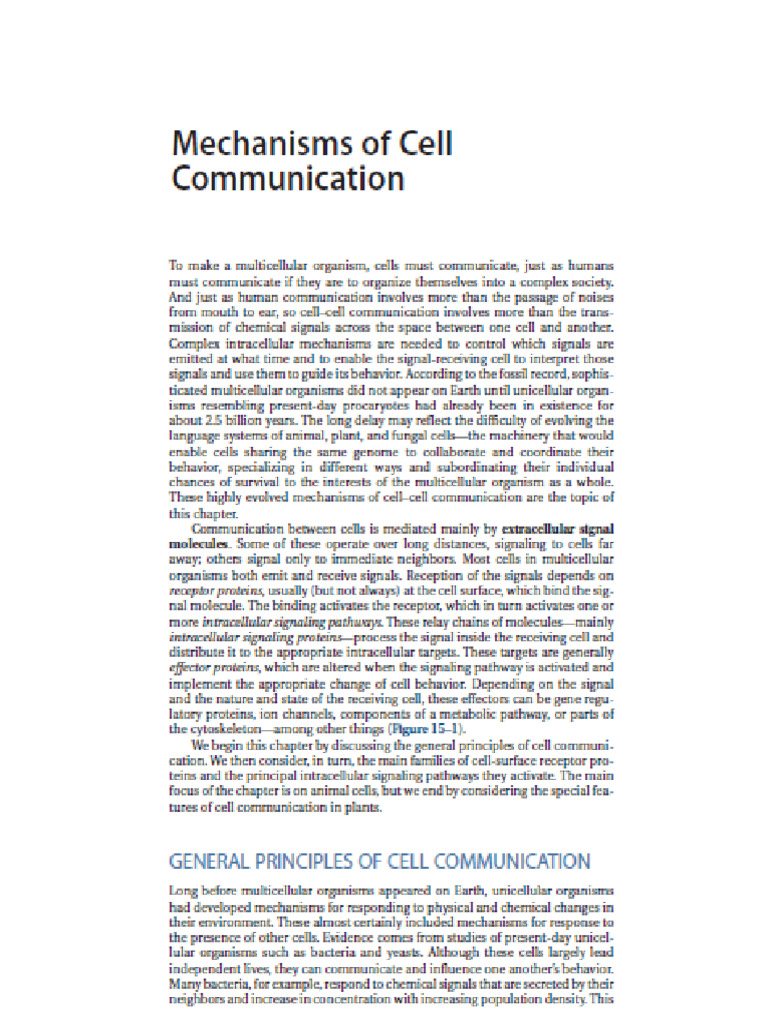 Cell Communication | PDF