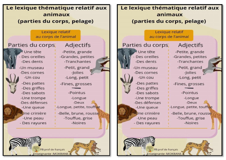 Nous Amis Les Animaux 7 Annee | PDF
