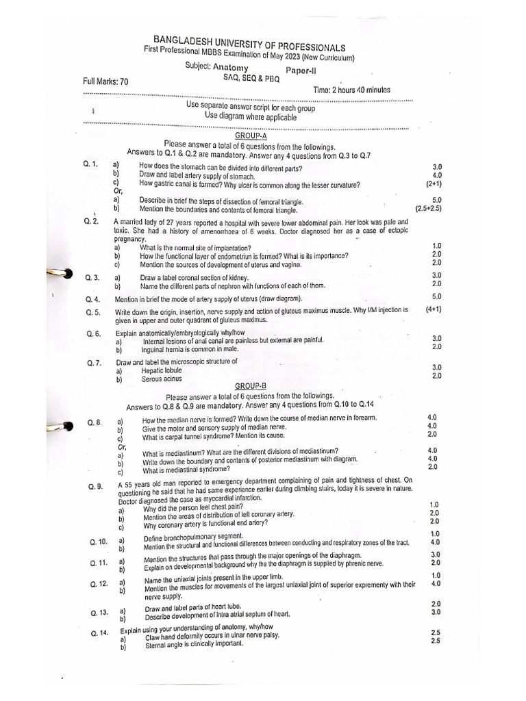 Anatomy Written BUP | PDF