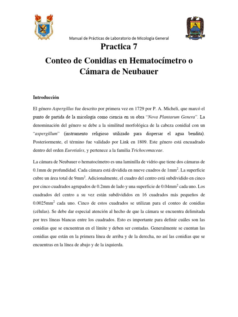 Practica Digital Farmacología RATCVS | PDF