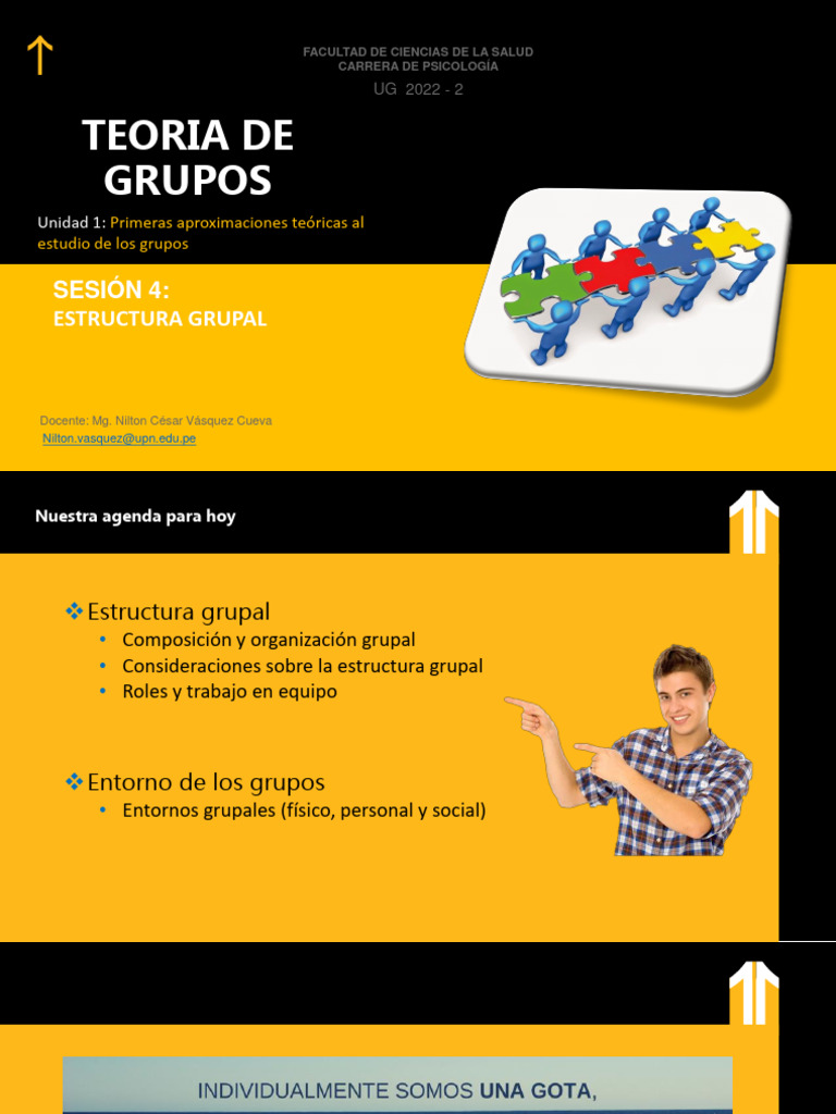 Estructura Grupal en Psicología | PDF | Comportamiento | Estatus social