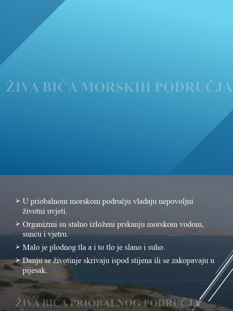 Zivotinje Podrucja Mora | PDF