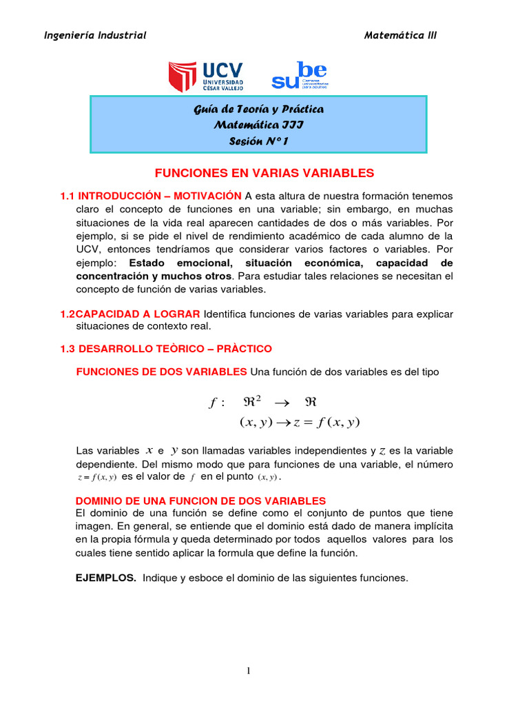 Guia Teoria Practica 01 | PDF | Variable (Matemáticas) | Función (Matemáticas)