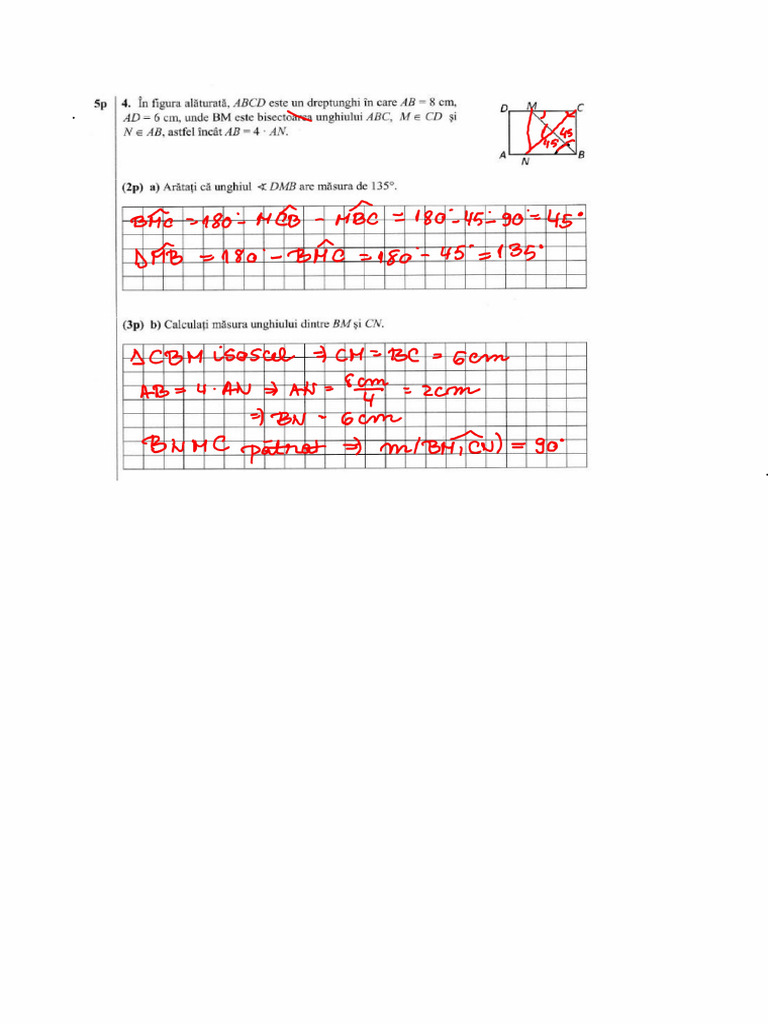 Geometrie - Rezolvat | PDF