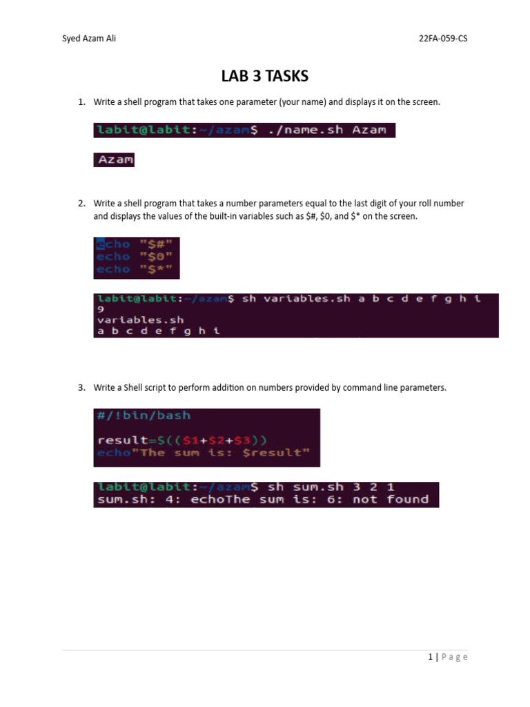 Lab 3 Tasks | PDF