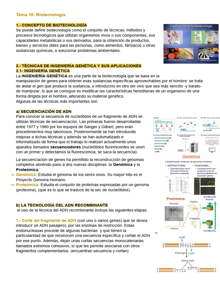 Tema 16 - Biotecnología | PDF | Virus | Ingeniería genética
