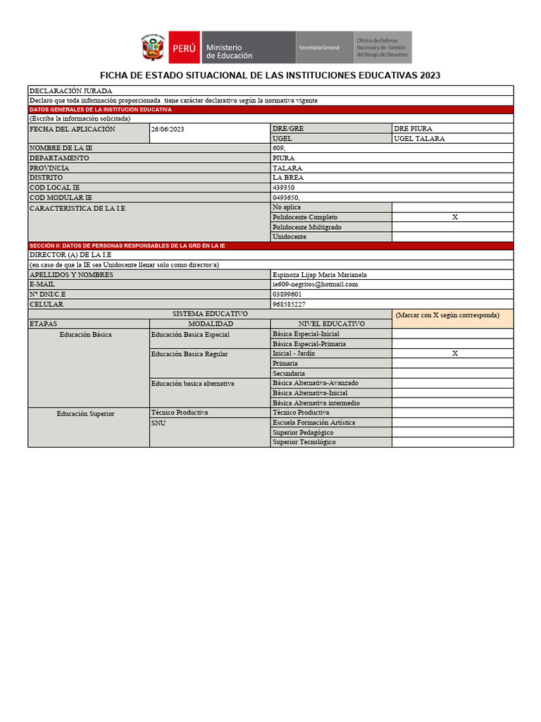 Ficha Estado Situacional 609 | Descargar gratis PDF | Educación primaria