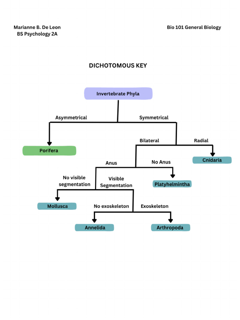 DICHOTOMOUS-KEY-BIO | PDF