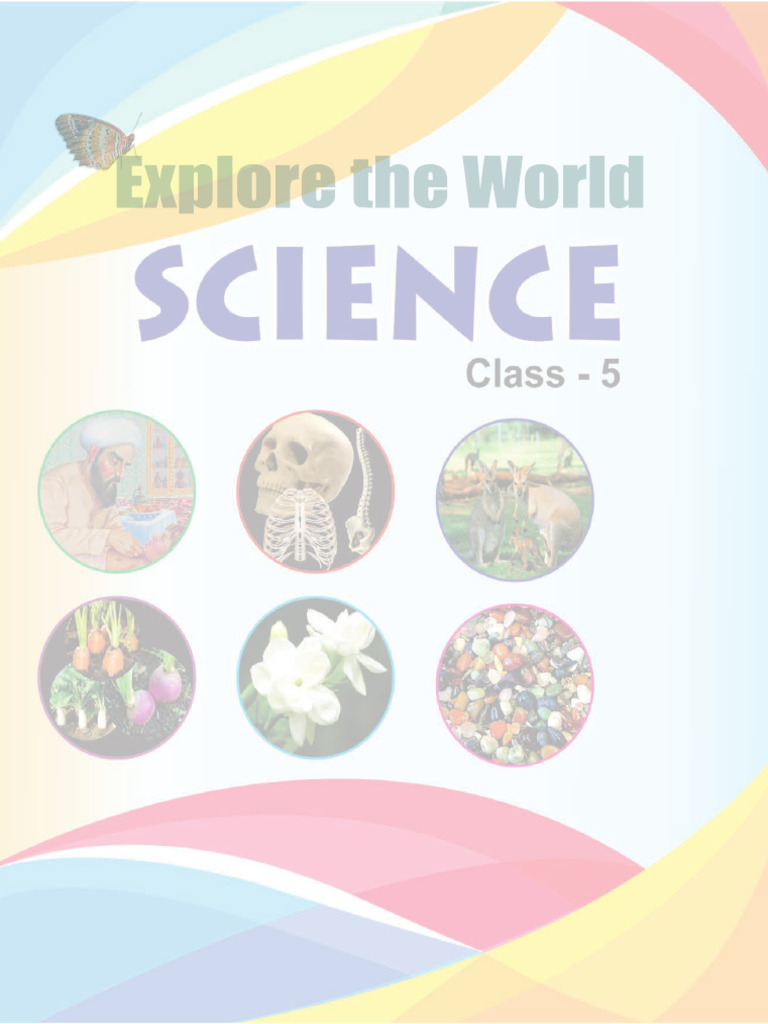 Science Class 5 Term 1 Min | PDF | Science | Experiment