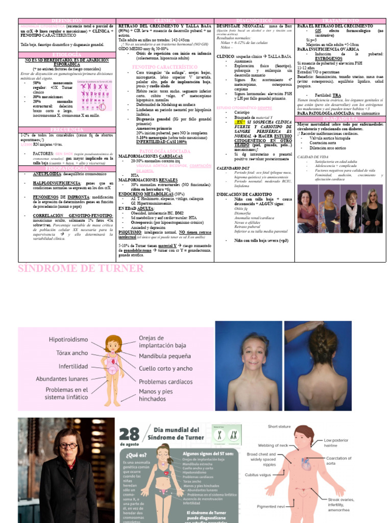 Turner | PDF | Enfermedades y trastornos | Especialidades Medicas