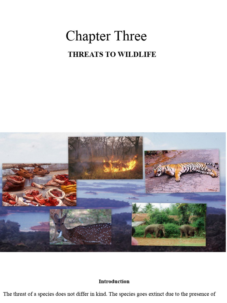 Chapter 3 | PDF | Human Impact On The Environment | Deforestation