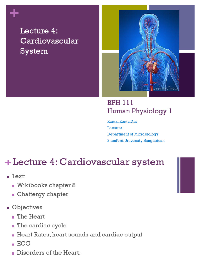 BPH 111 Lec 4 - Cardiovascular System | PDF | Heart | Diastole