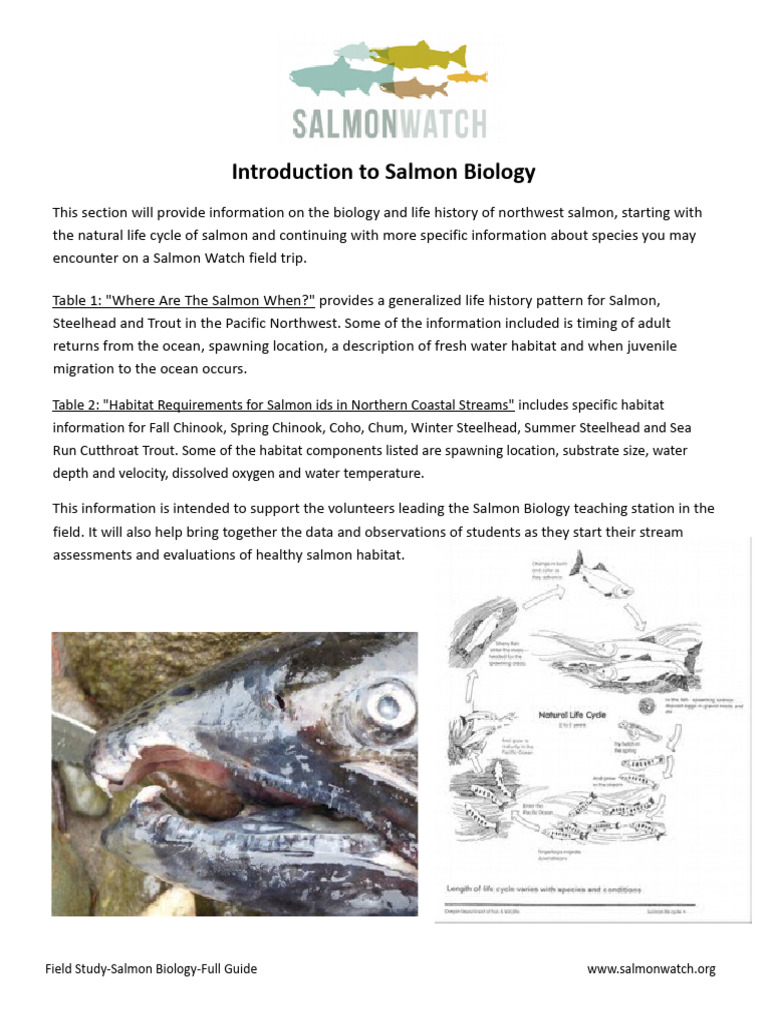 Field-Study-Salmon-Biology_Full-Resource-Guide | PDF | Salmon | Rainbow ...