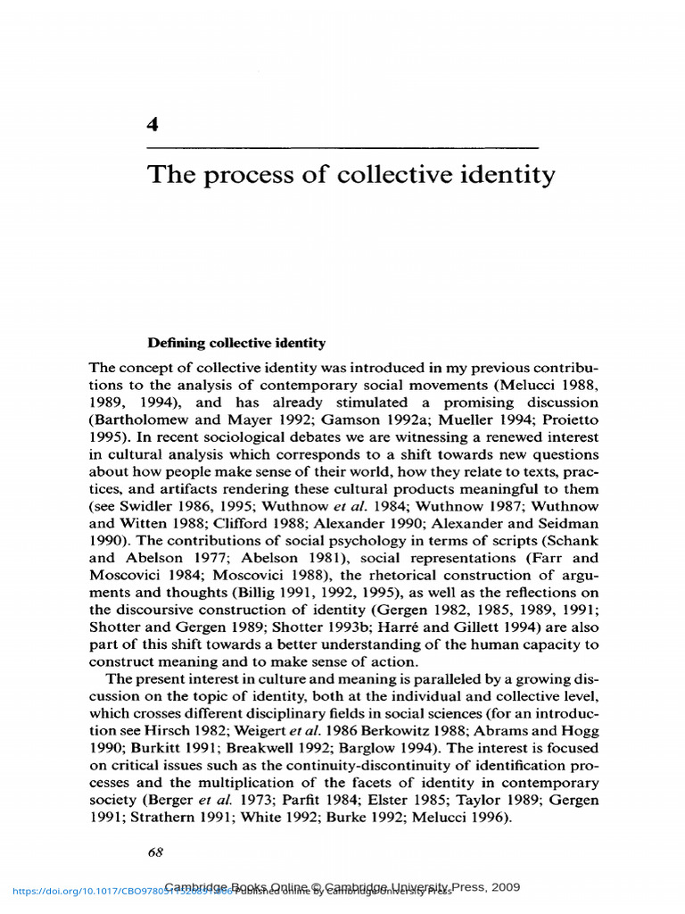 The Process of Collective Identity | PDF | Concept | Identity (Social ...