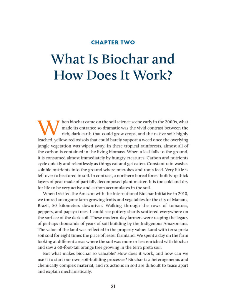 The Biochar Handbook Chapter 2: What Is Biochar & How Does It Work ...
