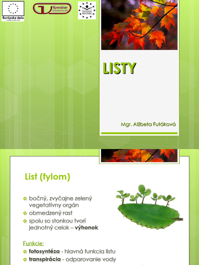 Listy | PDF