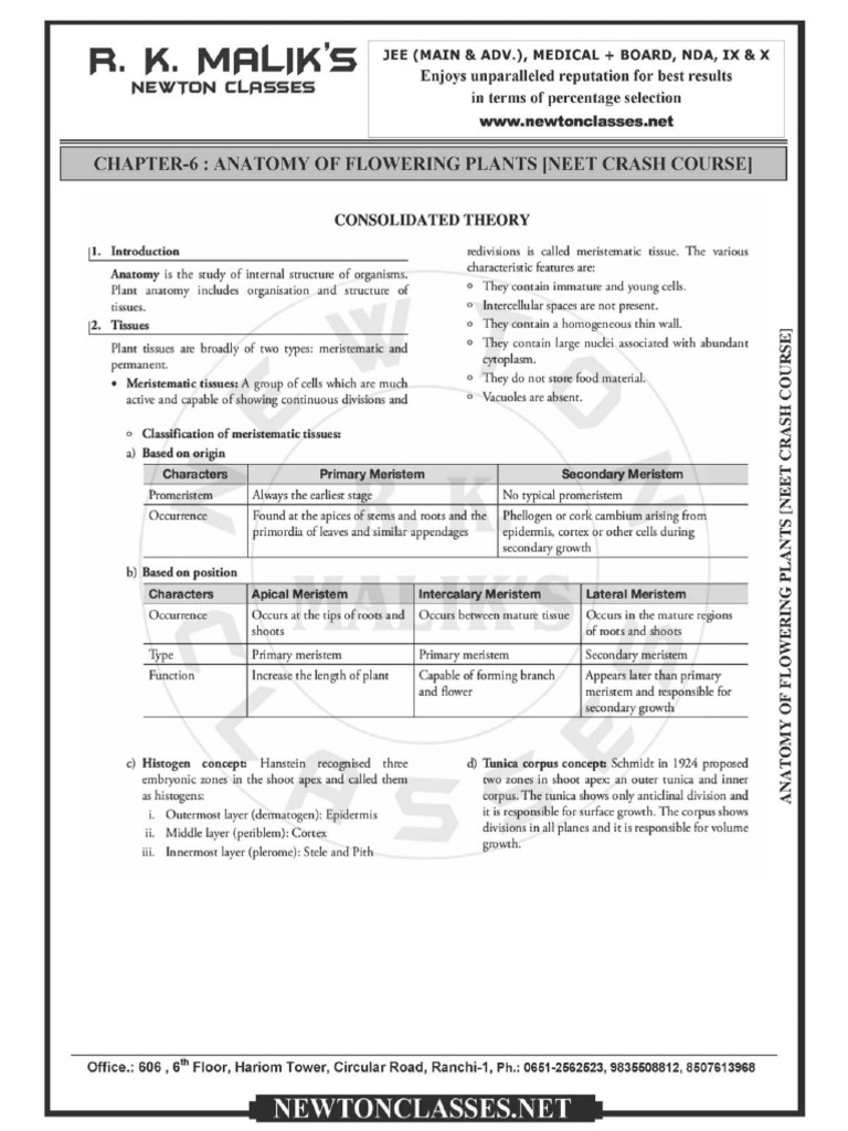 Anatomy of Flowering Plants | PDF