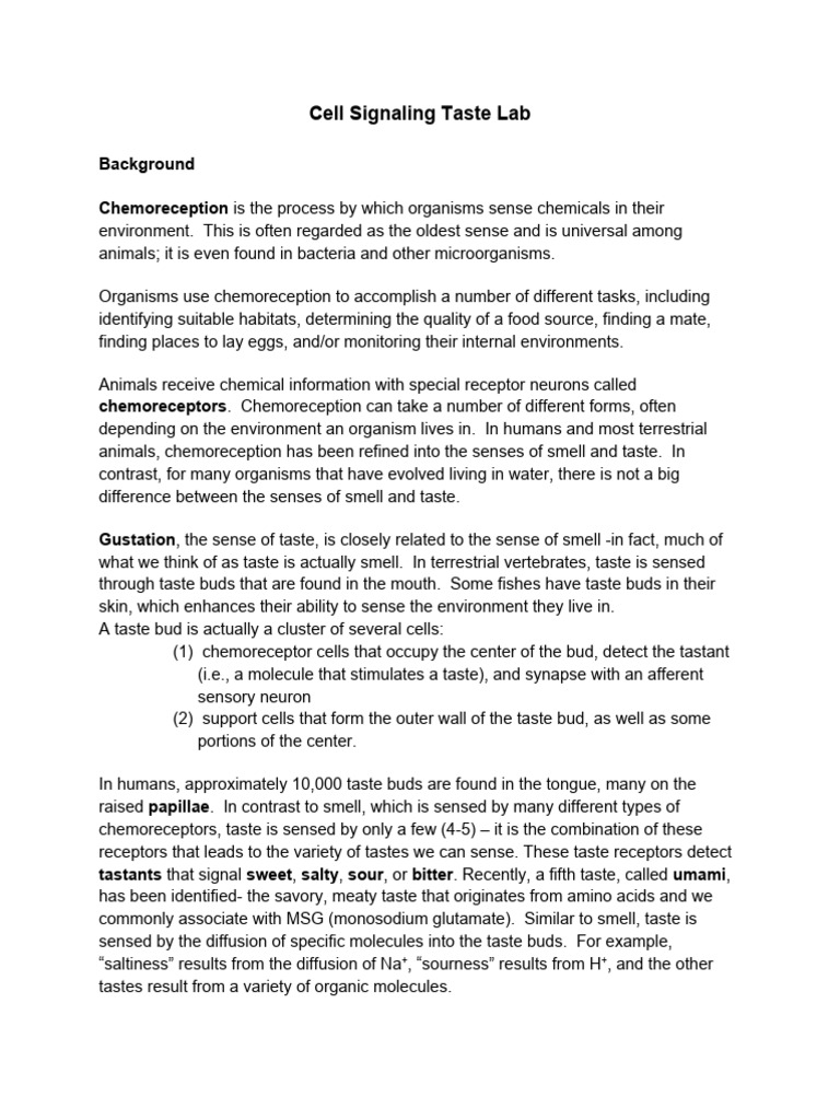 Cell Signaling Taste Lab | PDF | Taste | Umami