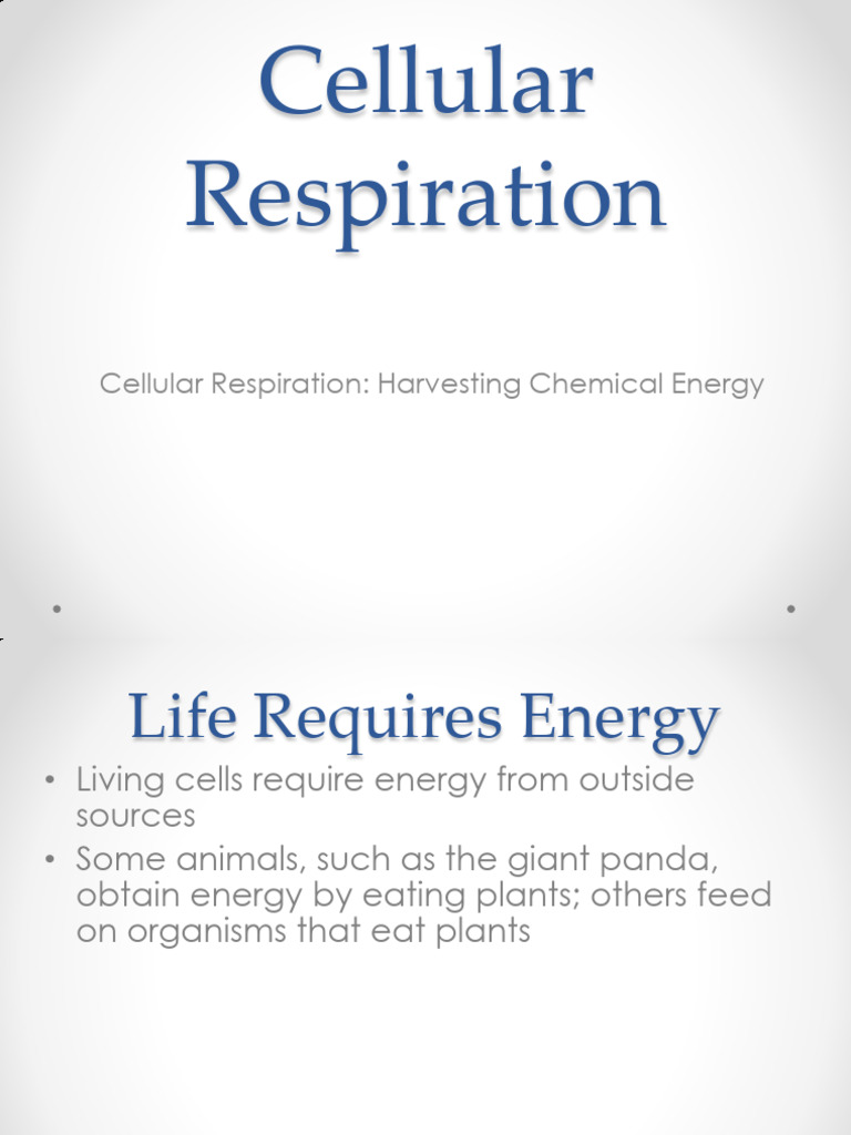 Cellular Respiration | PDF | Cellular Respiration | Adenosine Triphosphate