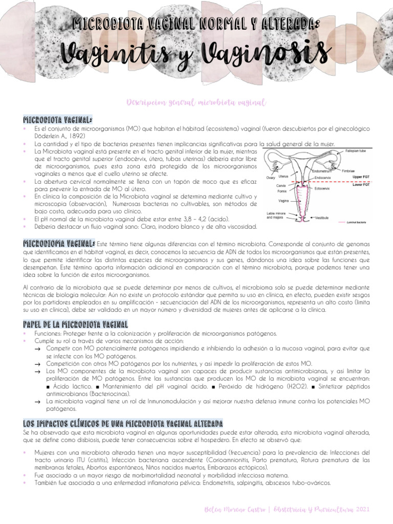 CT04 Microbiota Vaginal Normal y Alterada Vaginitis y Vaginosis | PDF | Microbiología | Medicina ...