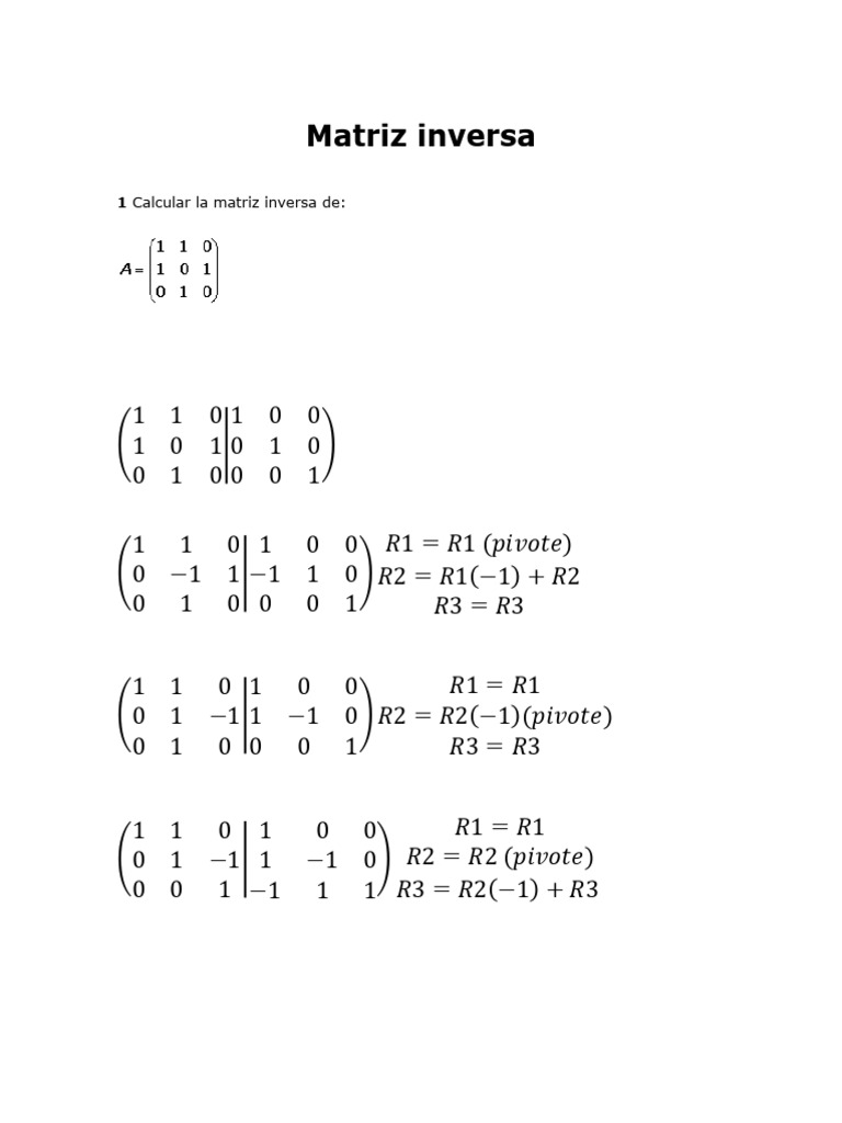 Matriz inversa | PDF