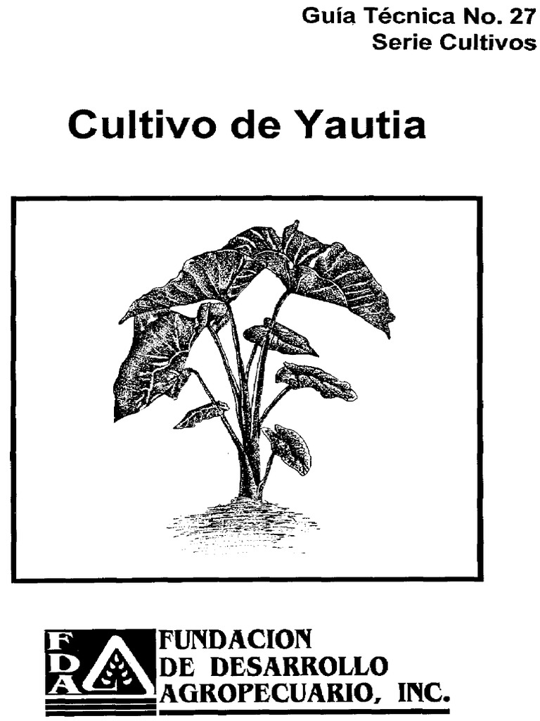 yautia | PDF