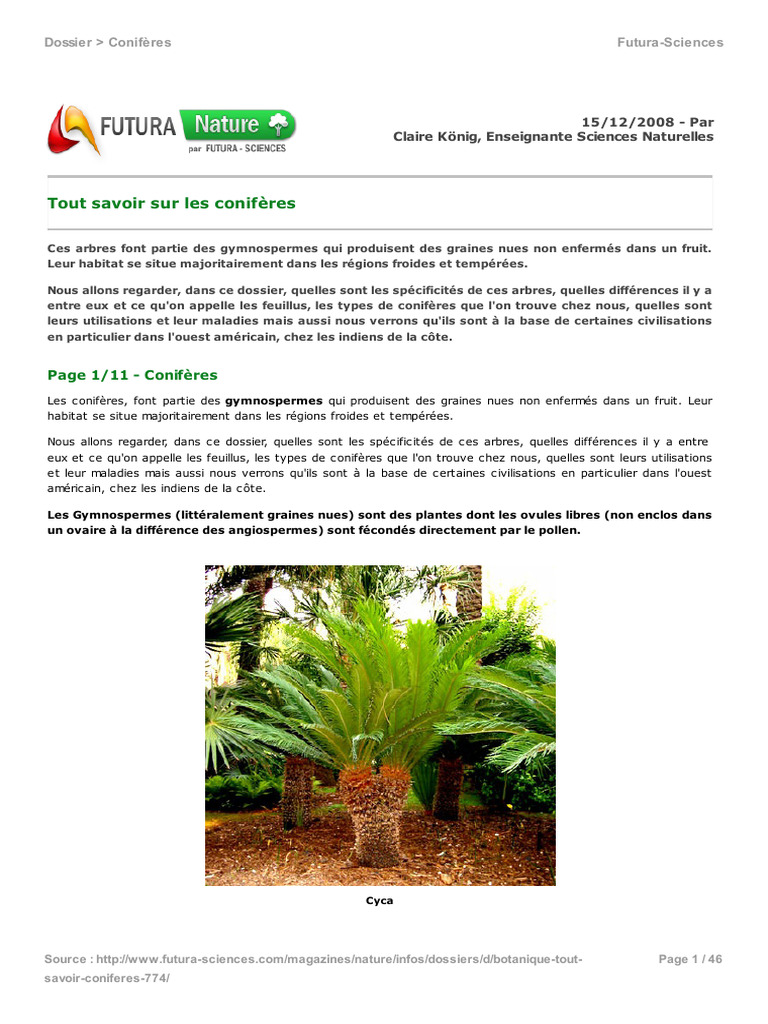 Guide complet sur les conifères | PDF | Stomate | Résine