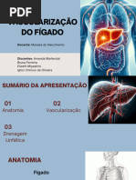 Anatomia do Fígado e Suas Estruturas | PDF | Fígado | Hepatócito