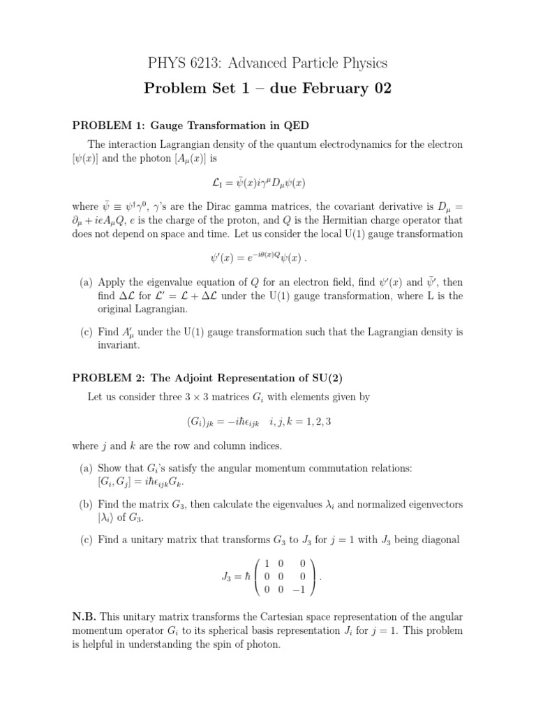 Ps 1 PP | PDF | Matrix (Mathematics) | Gauge Theory