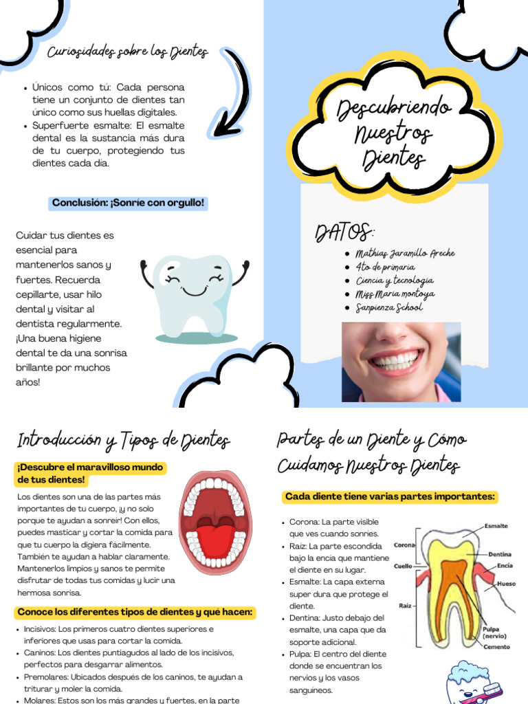 Cod 15 - Díptico | PDF | Diente | Diente humano