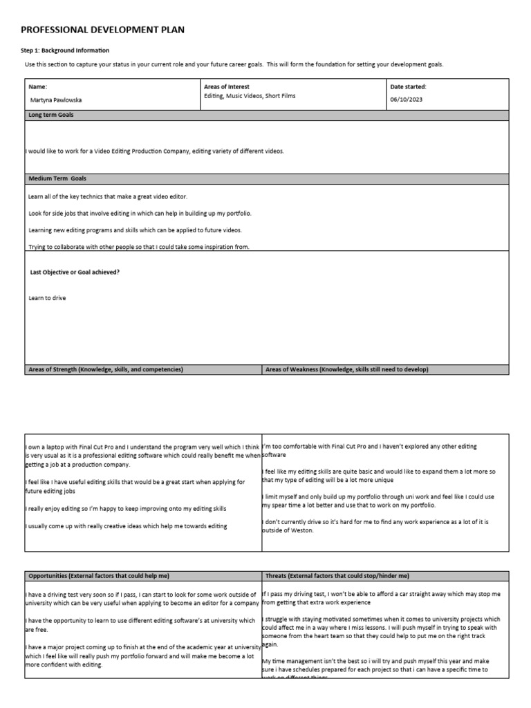 Professional Development Plan | PDF | Editing | Experience