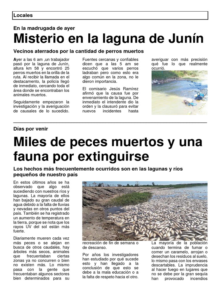 Noticia Periodistica | PDF