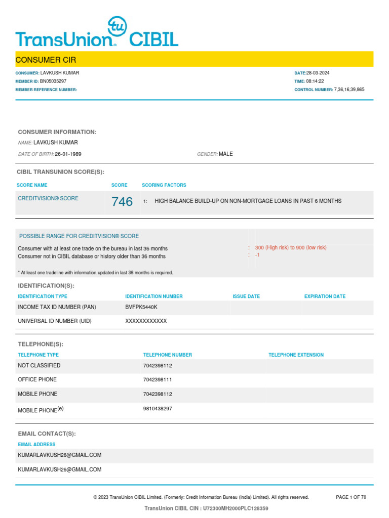 Report File Scanner Score | PDF | Credit | Finance & Money Management