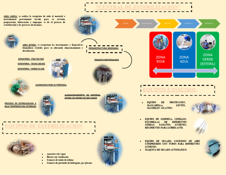 LISBETH | PDF | Esterilización (Microbiología)