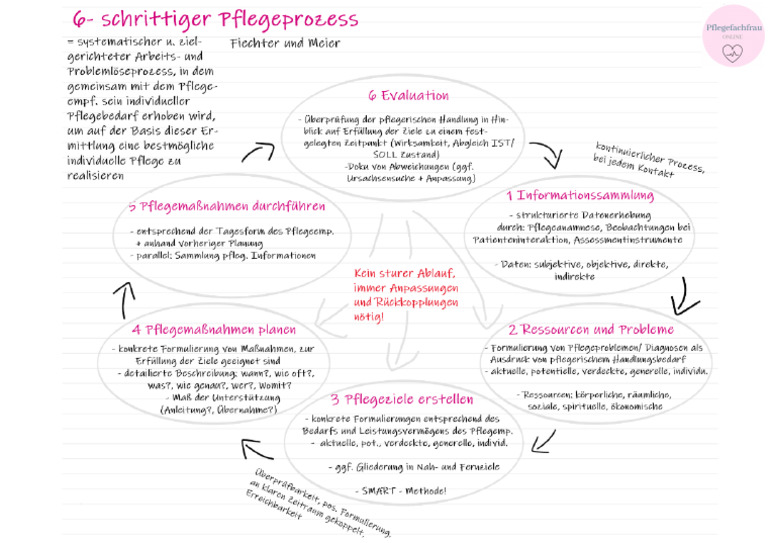 Schema Pflegeprozess | PDF