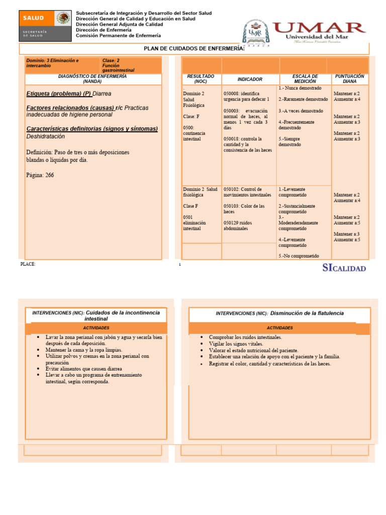 Plan de Cuidados para Diarrea y Salud Intestinal | PDF | Heces | Diarrea