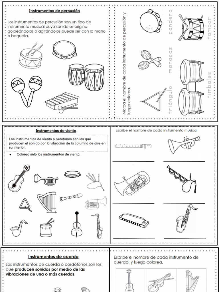 Instrumentos Musicales | PDF